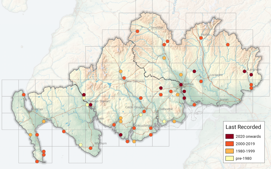 73.169 Common Rustic Mesapamea secalis – Dumfries & Galloway Moths